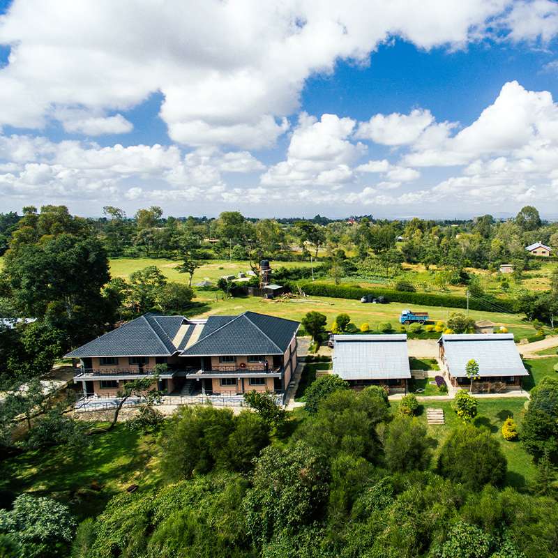 The Old House Nanyuki —The home of tree hyraxes